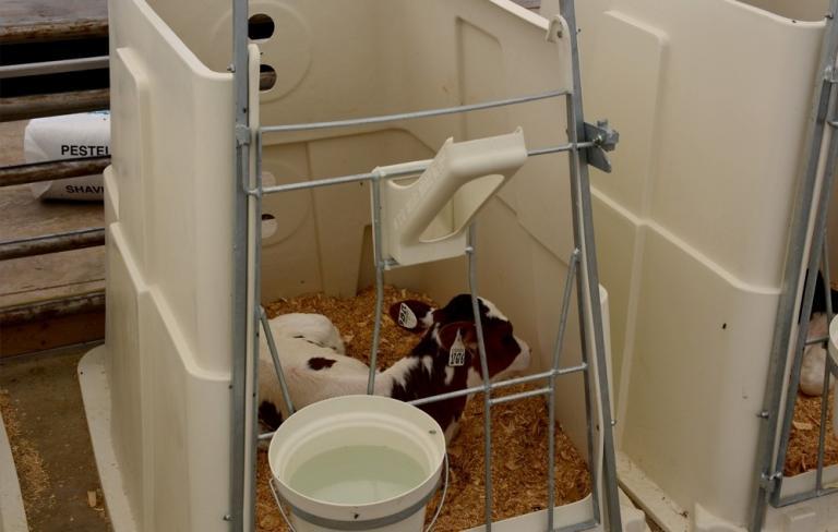Single Calf Housing - Calf Hutch