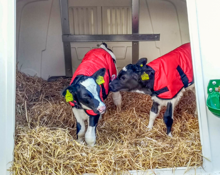 Accessories - Calf Hutch