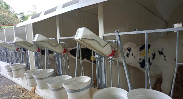 Single Calf Housing - Calf Hutch