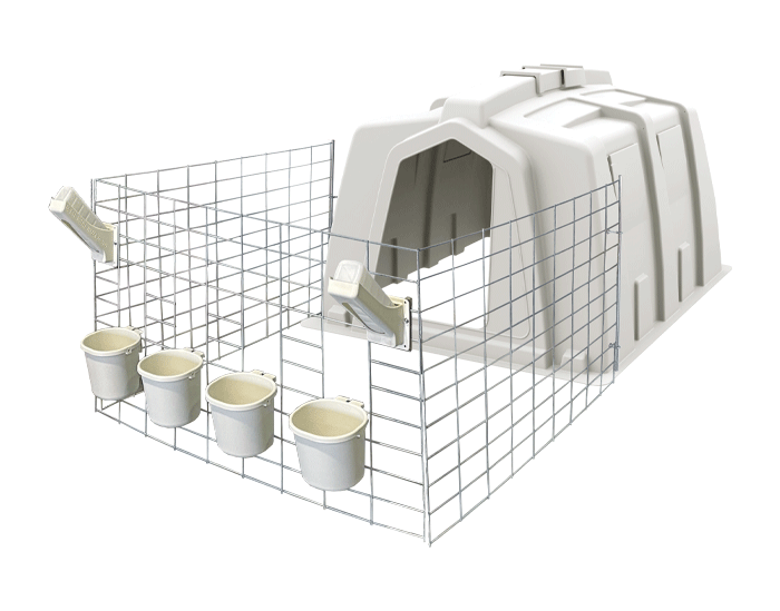 Dual XL Hutch - Calf Hutch